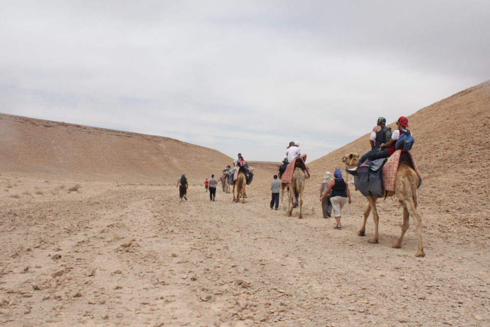 OUR PROGRAMS – Musalaha