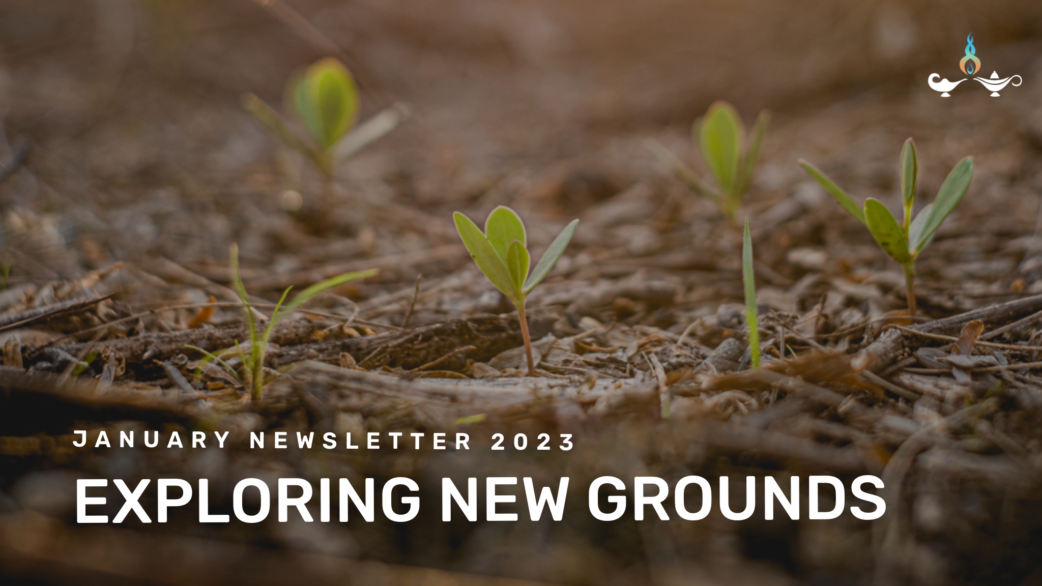 NEWSLETTER – Musalaha